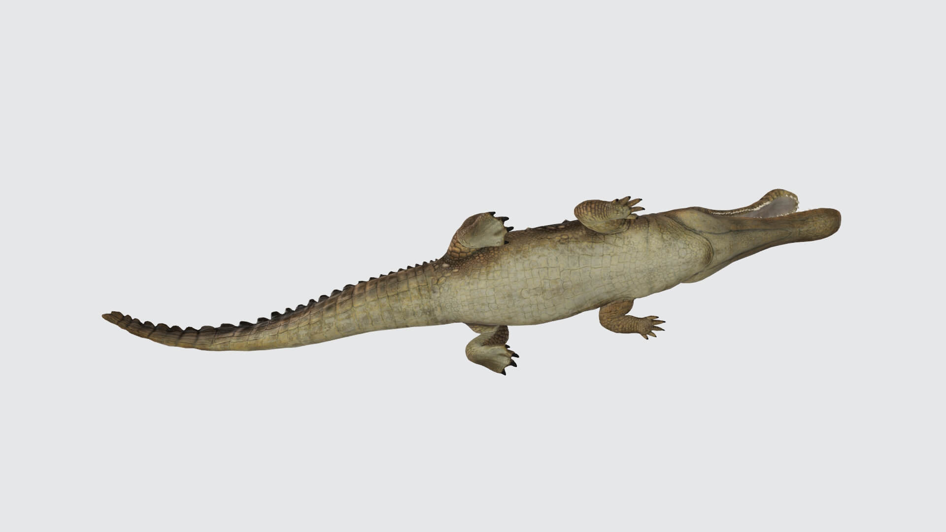 Sarcosuchus Prehistoric Animal - 3D Model by LisaHenniga