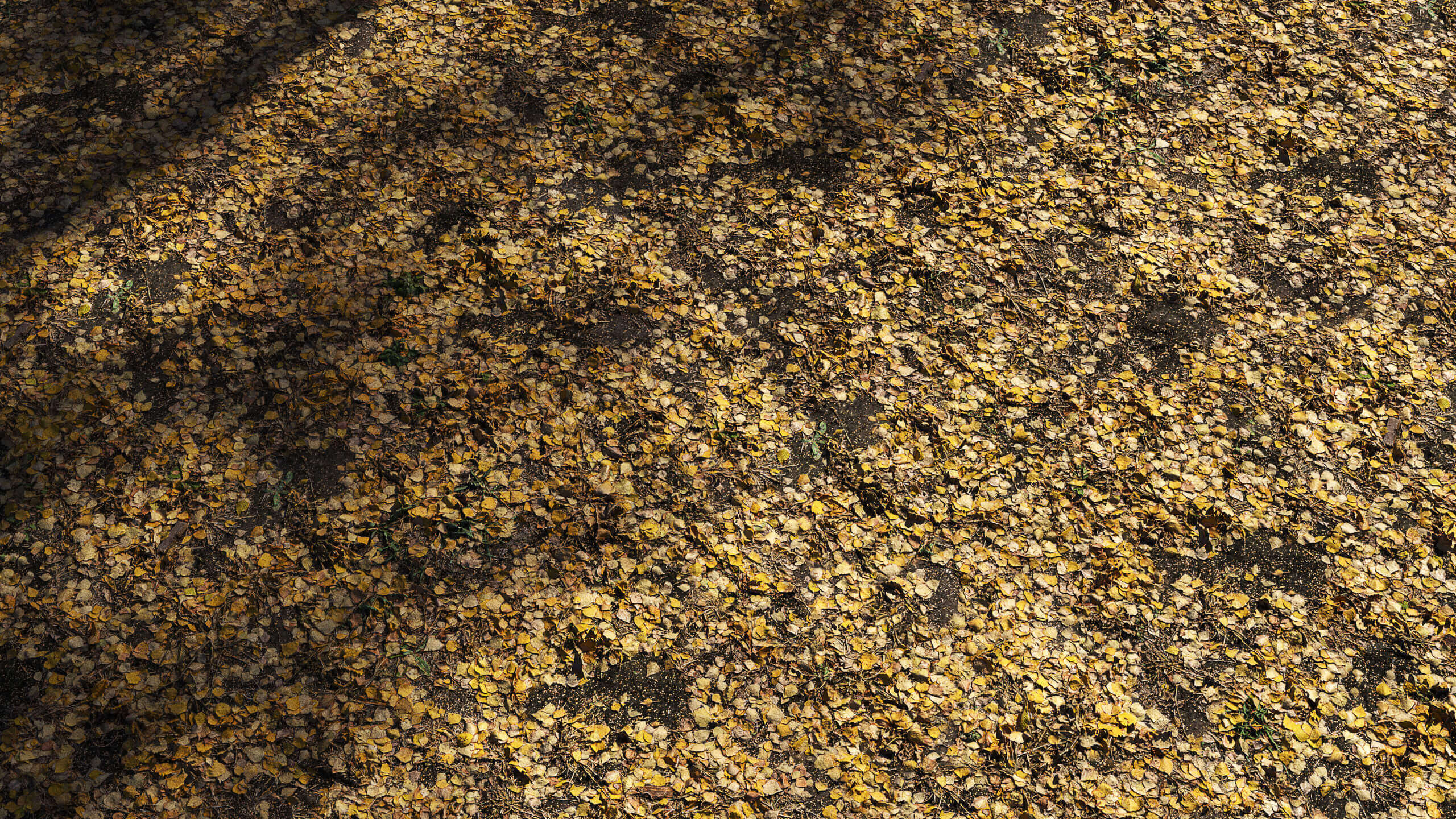 Autumn Leaves Texture - 3D Material or Shader by Listudiio