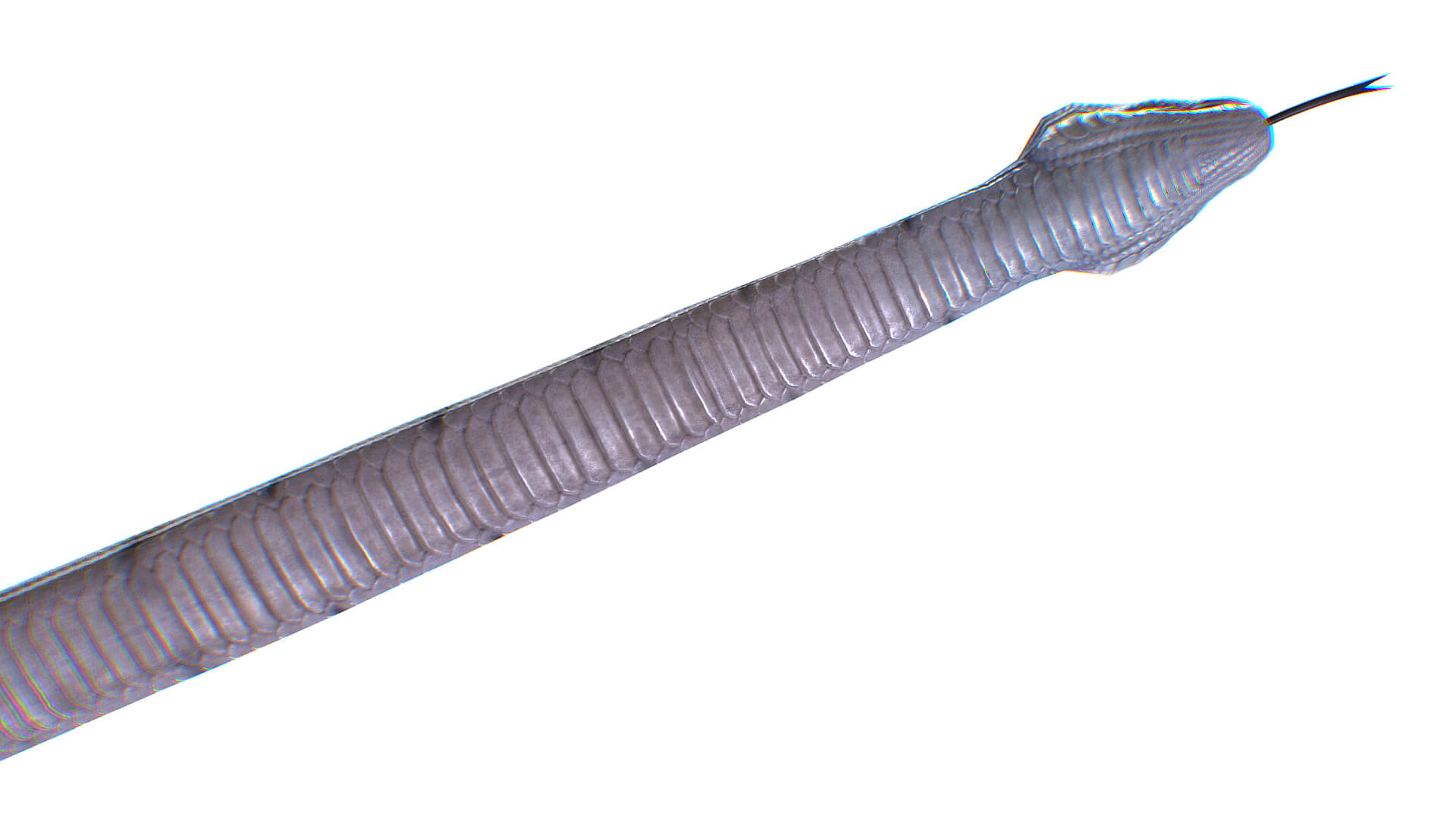 Anaconda Blue Snake Python King Cobra Monster 3D Model by LiveBook3D