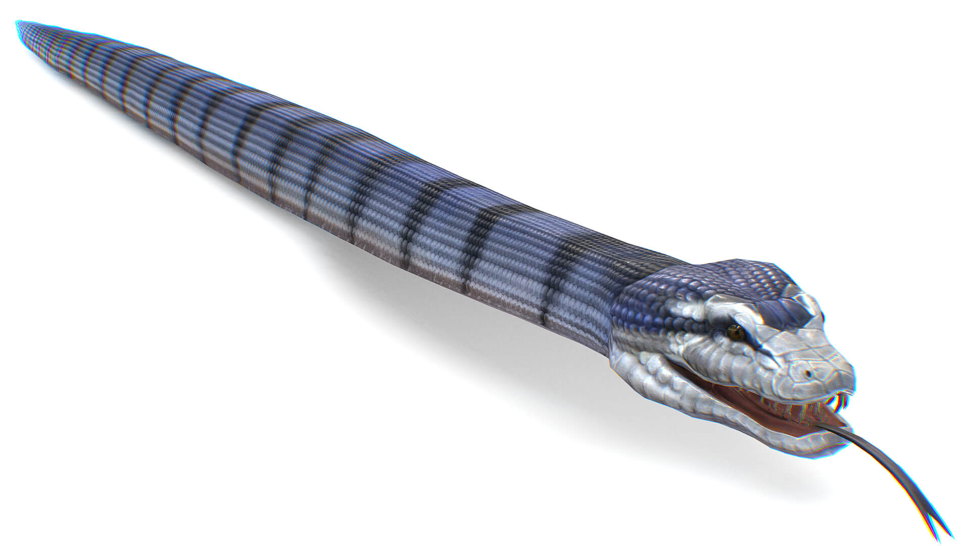 Anaconda Blue Snake Python King Cobra Monster 3D Model by LiveBook3D