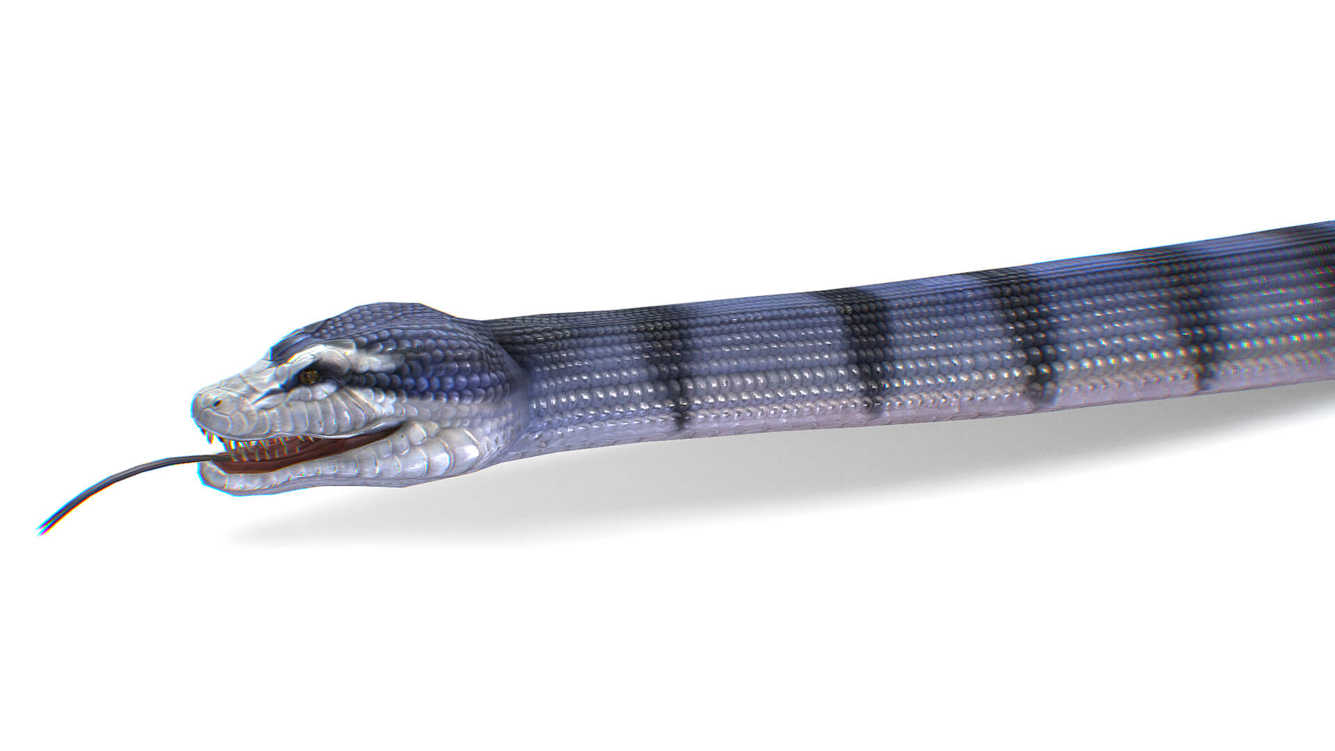Anaconda Blue Snake Python King Cobra Monster 3D Model by LiveBook3D