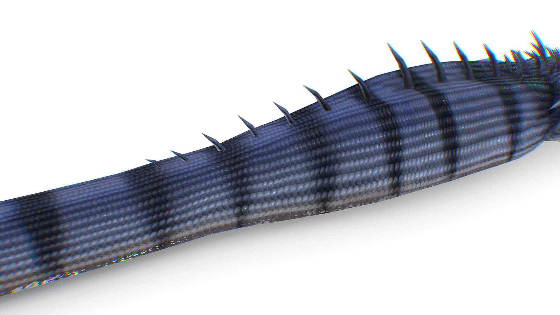 Anaconda Blue Snack Python King Cobra Monster 3D Model by LiveBook3D