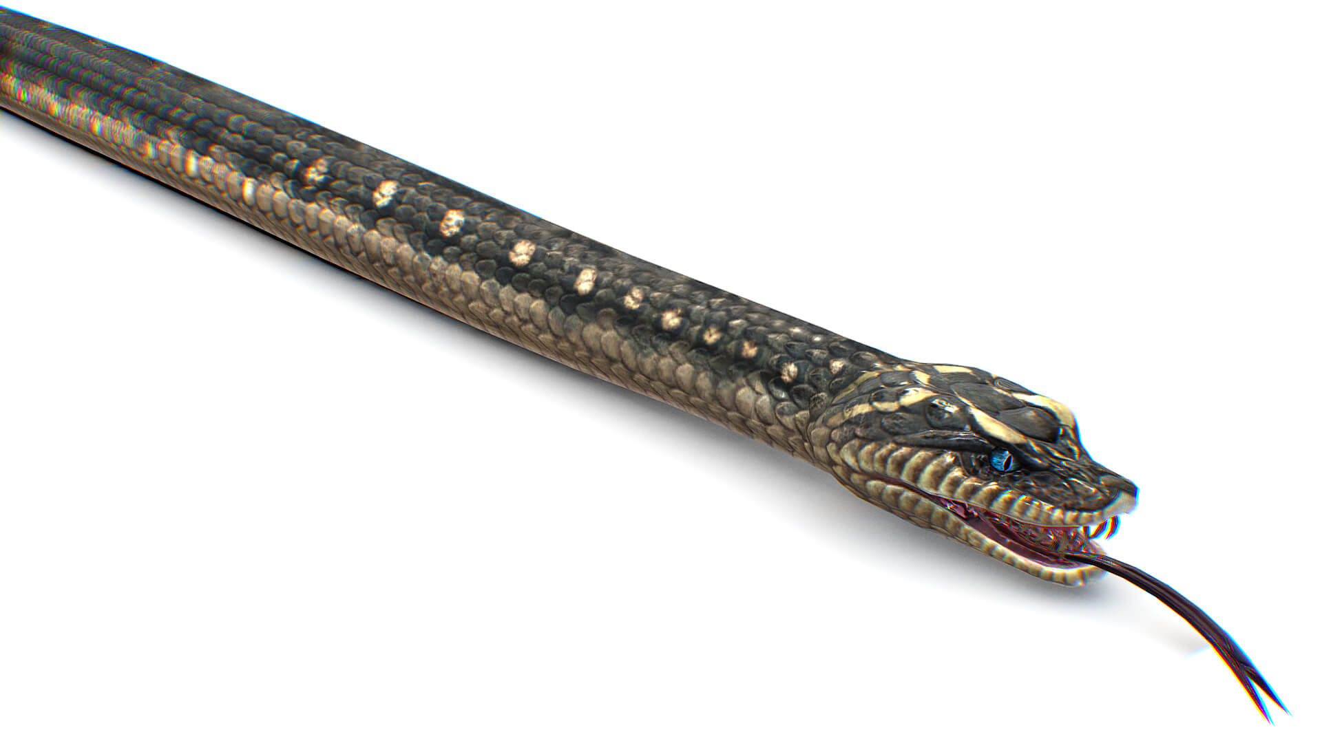 Anaconda Gray Snake Python King Cobra Monster - 3D Model by LiveBook3D