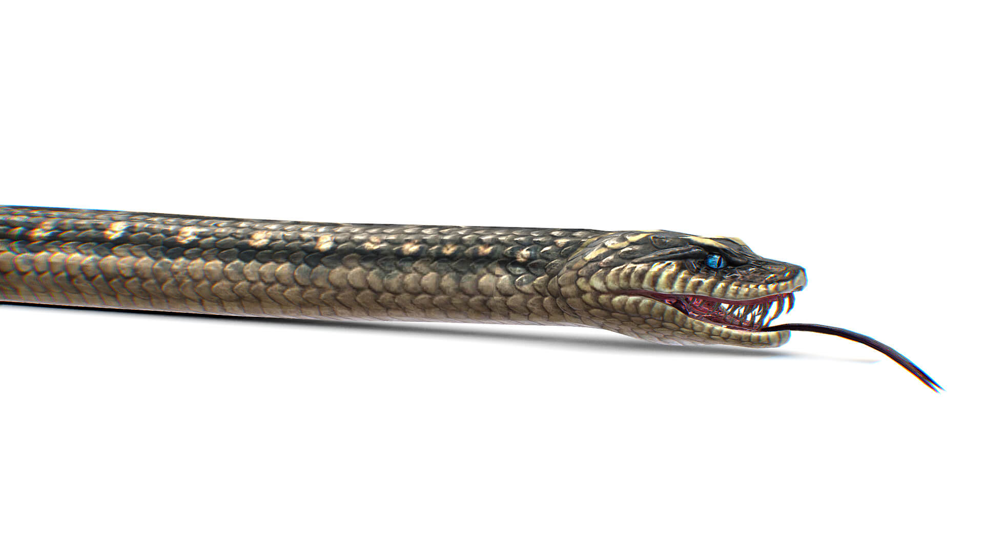 Anaconda Gray Snake Python King Cobra Monster - 3D Model by LiveBook3D