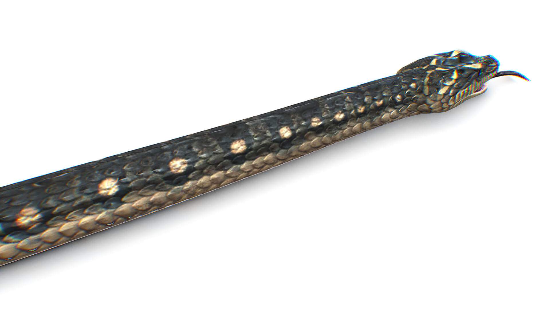 Anaconda Gray Snake Python King Cobra Monster - 3D Model by LiveBook3D