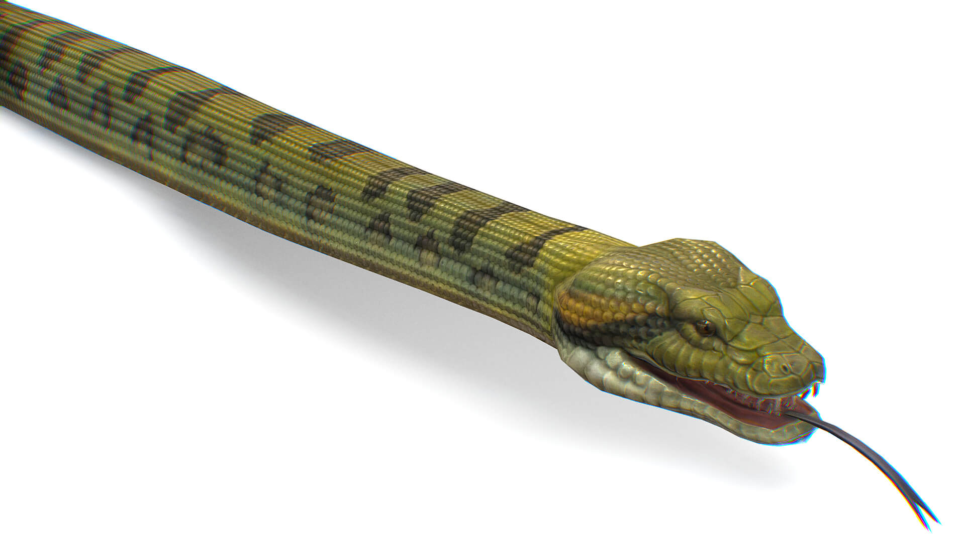 Anaconda Green Snake Python King Cobra Monster - 3D Model by LiveBook3D