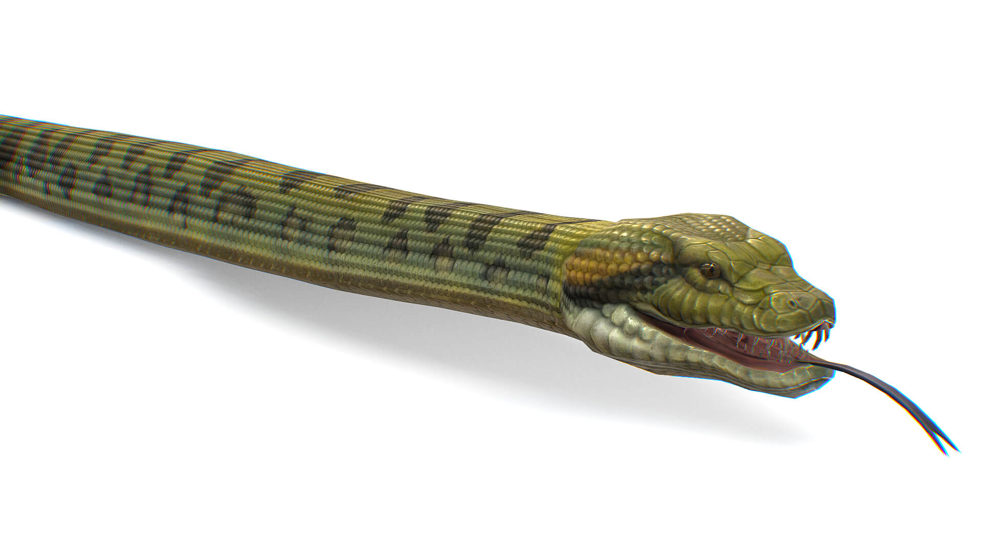 Anaconda Green Snake Python King Cobra Monster - 3D Model by LiveBook3D
