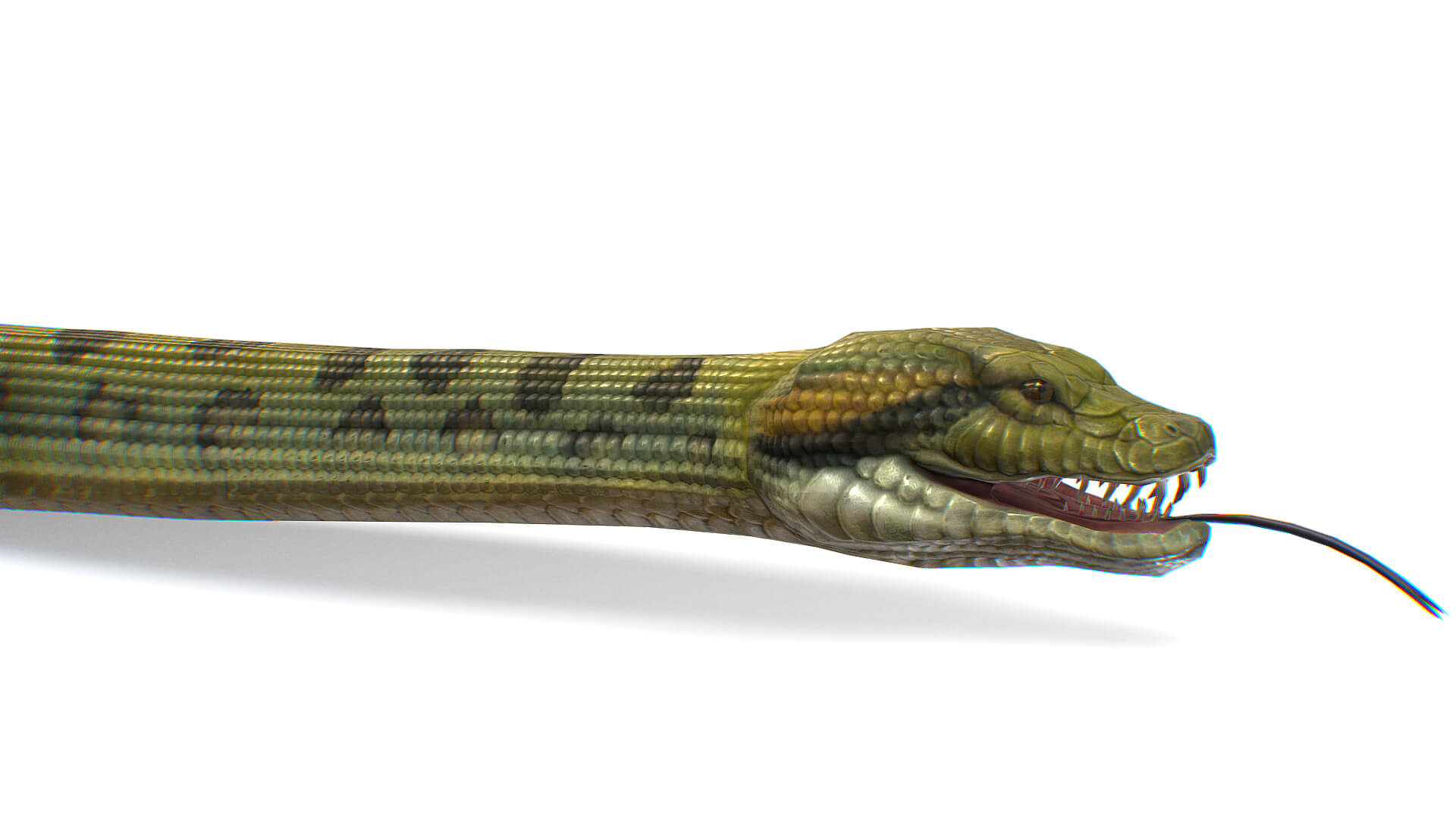 Anaconda Green Snake Python King Cobra Monster - 3D Model by LiveBook3D