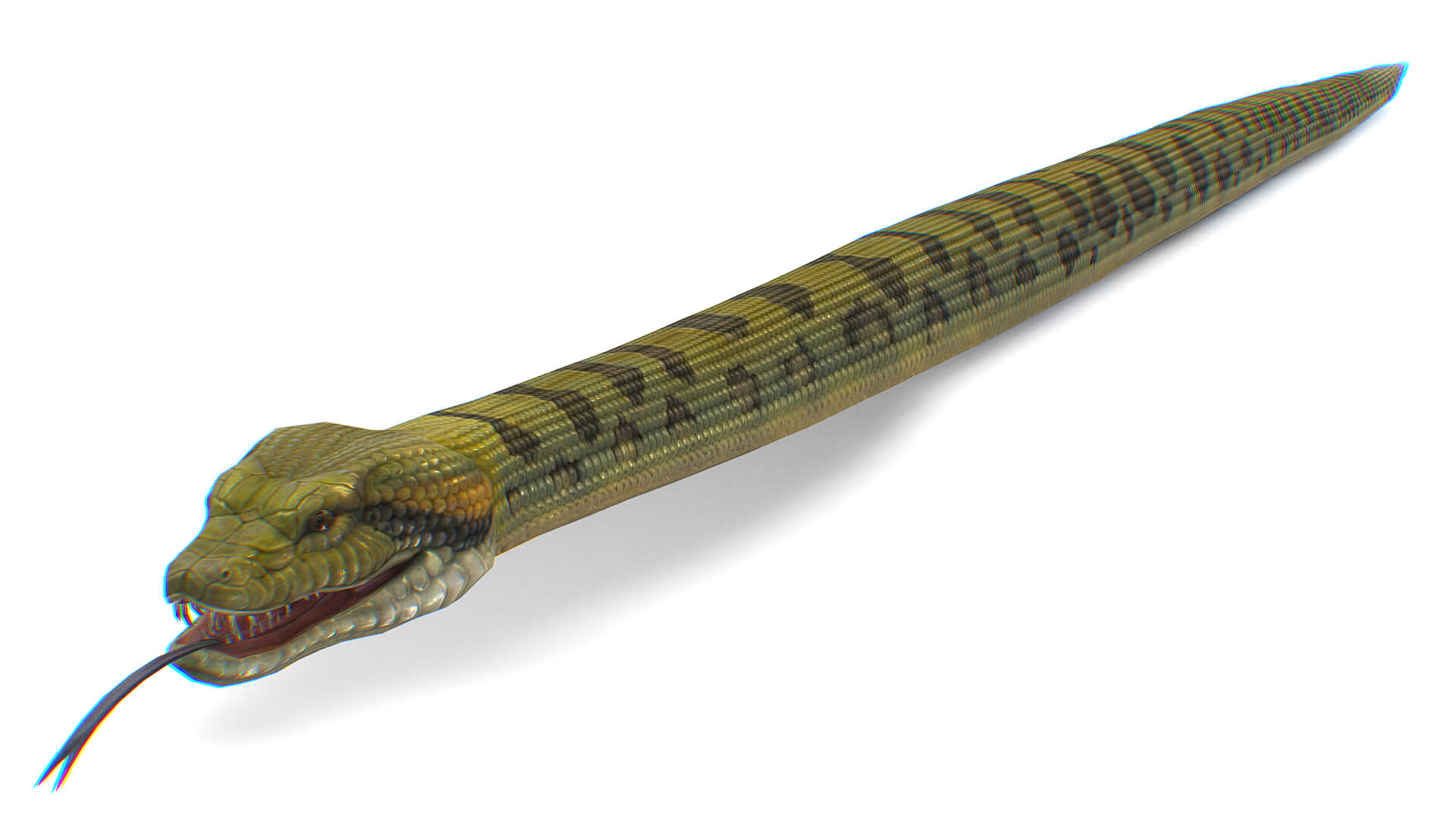 Anaconda Green Snake Python King Cobra Monster - 3D Model by LiveBook3D
