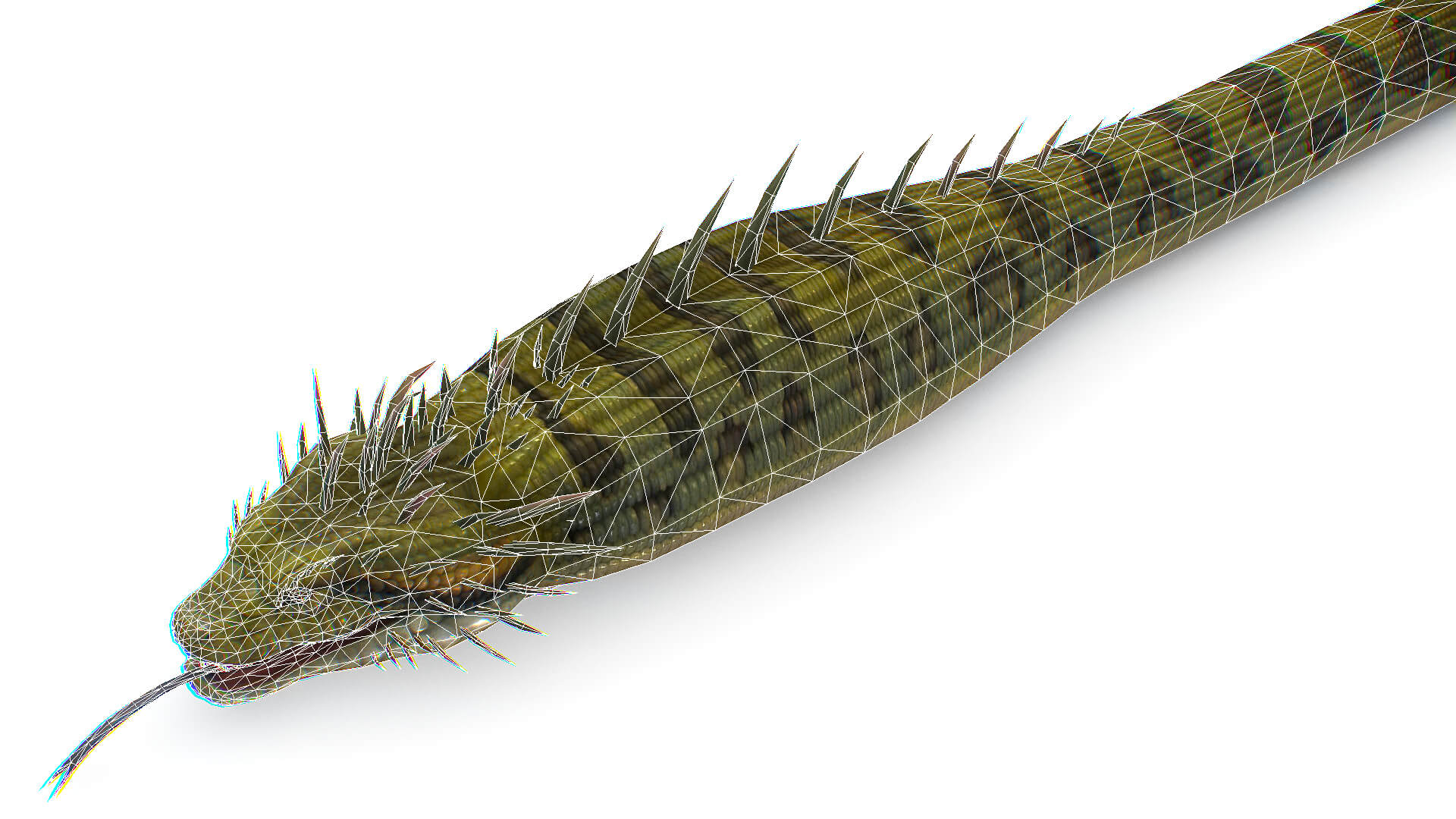 Anaconda Green Snake Python King Cobra Monster - 3D Model by LiveBook3D