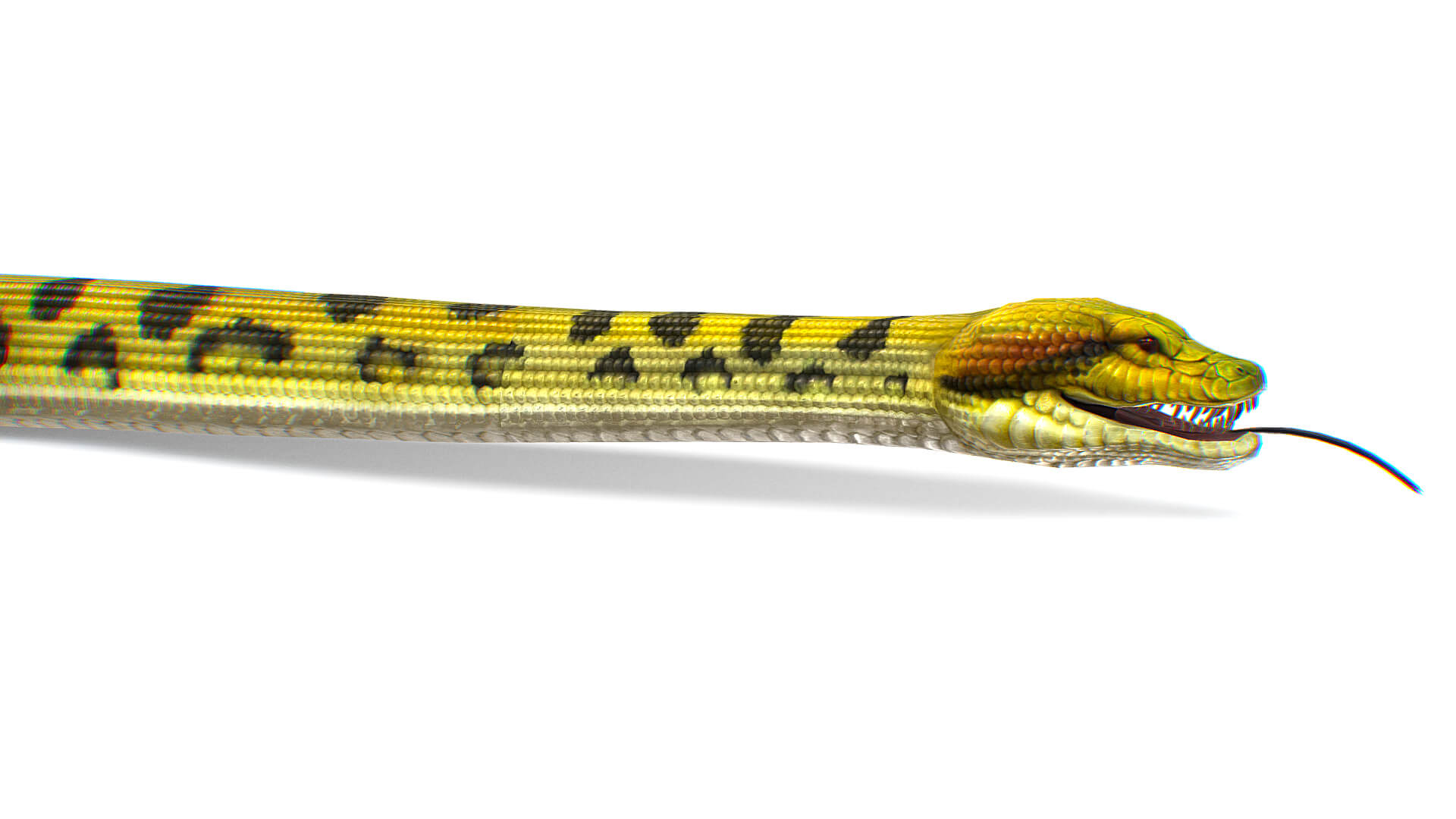 Anaconda Yellow Snake Python King Cobra Monster - 3D Model by LiveBook3D