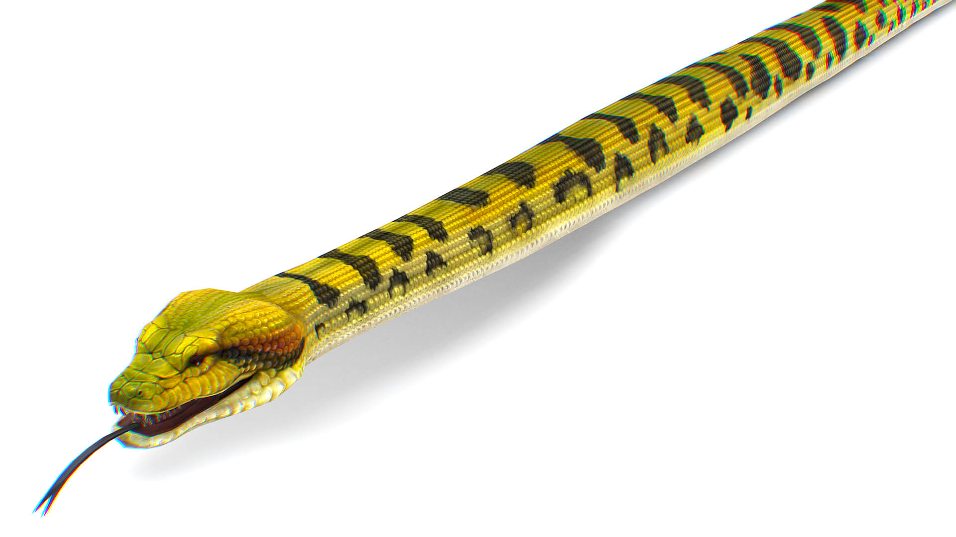 Anaconda Yellow Snake Python King Cobra Monster - 3D Model by LiveBook3D