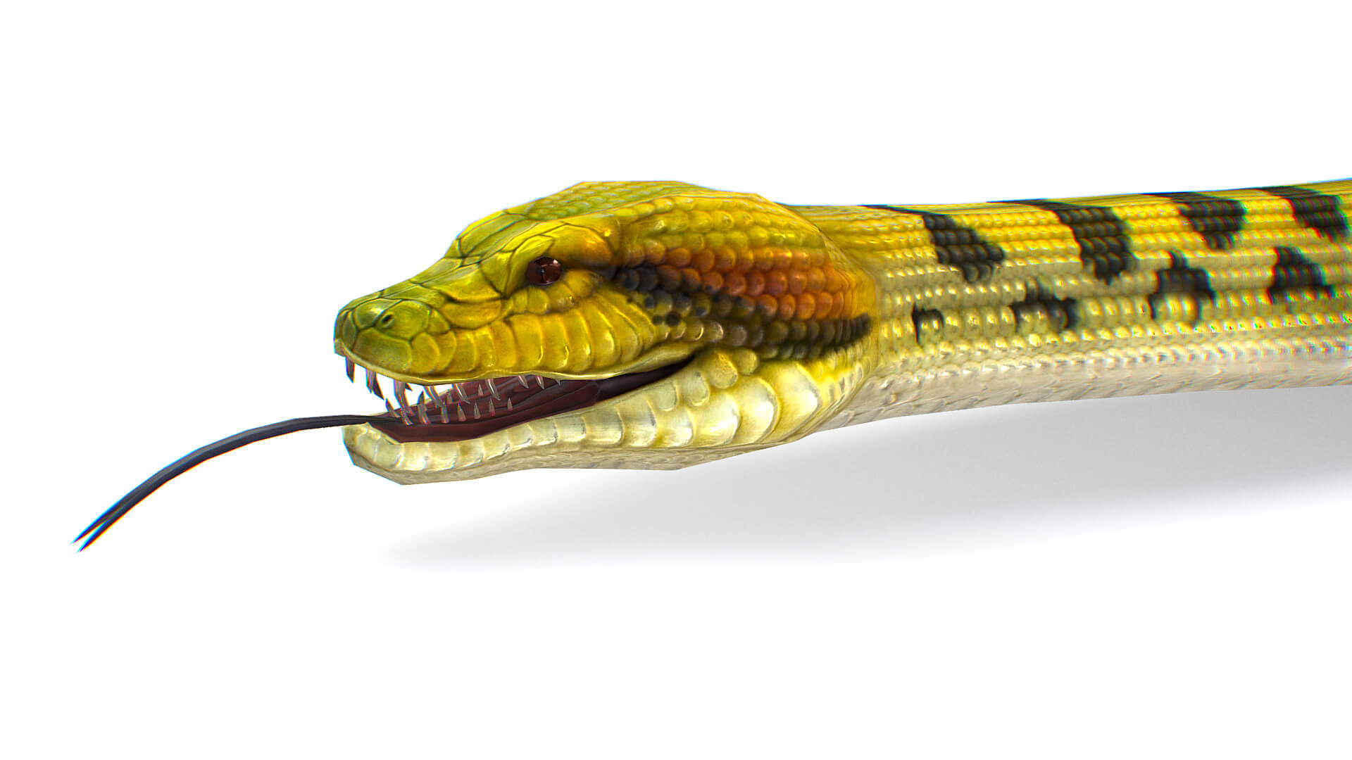 Anaconda Yellow Snake Python King Cobra Monster - 3D Model by LiveBook3D
