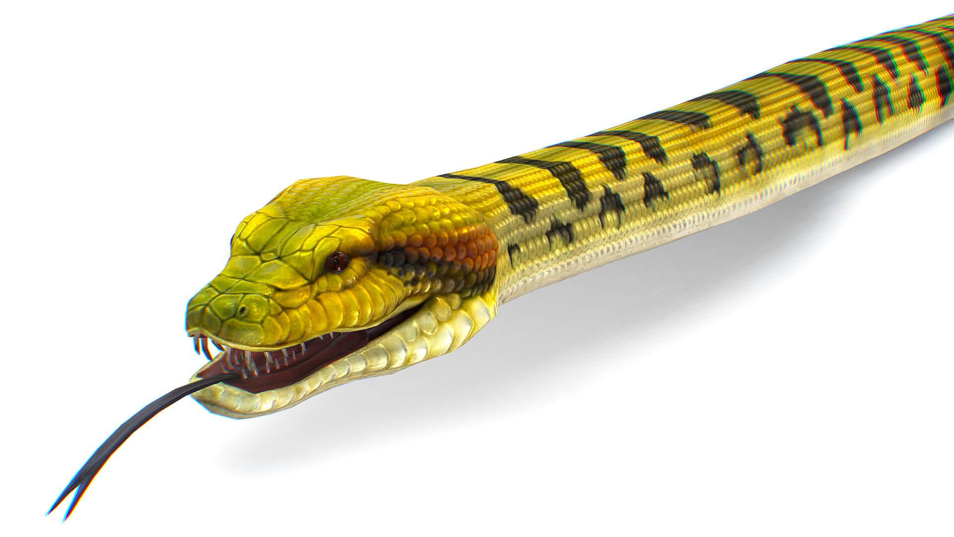 Anaconda Yellow Snake Python King Cobra Monster - 3D Model by LiveBook3D