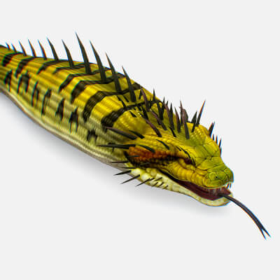 Anaconda Yellow Snack Python King Cobra Monster - 3D Model by LiveBook3D