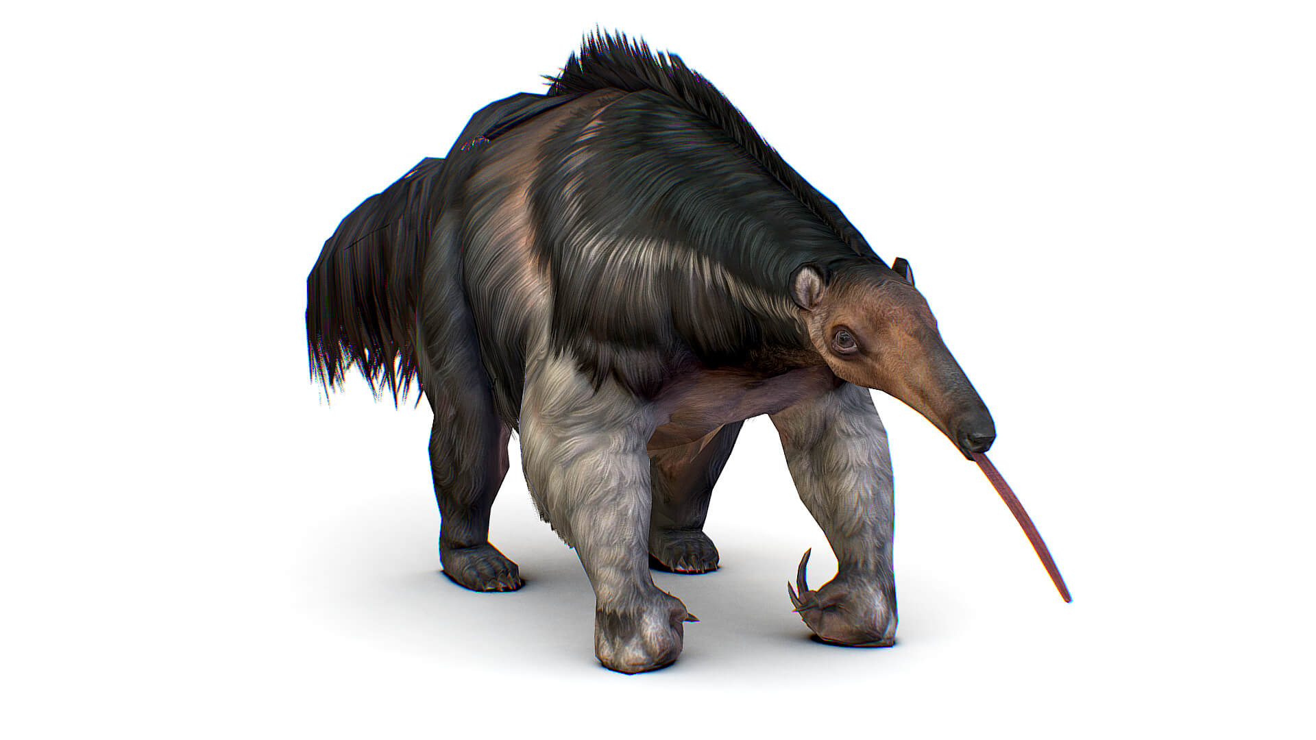 Anteater Giant Animal Wild Mammal Myrmecophagidae - 3D Model by LiveBook3D
