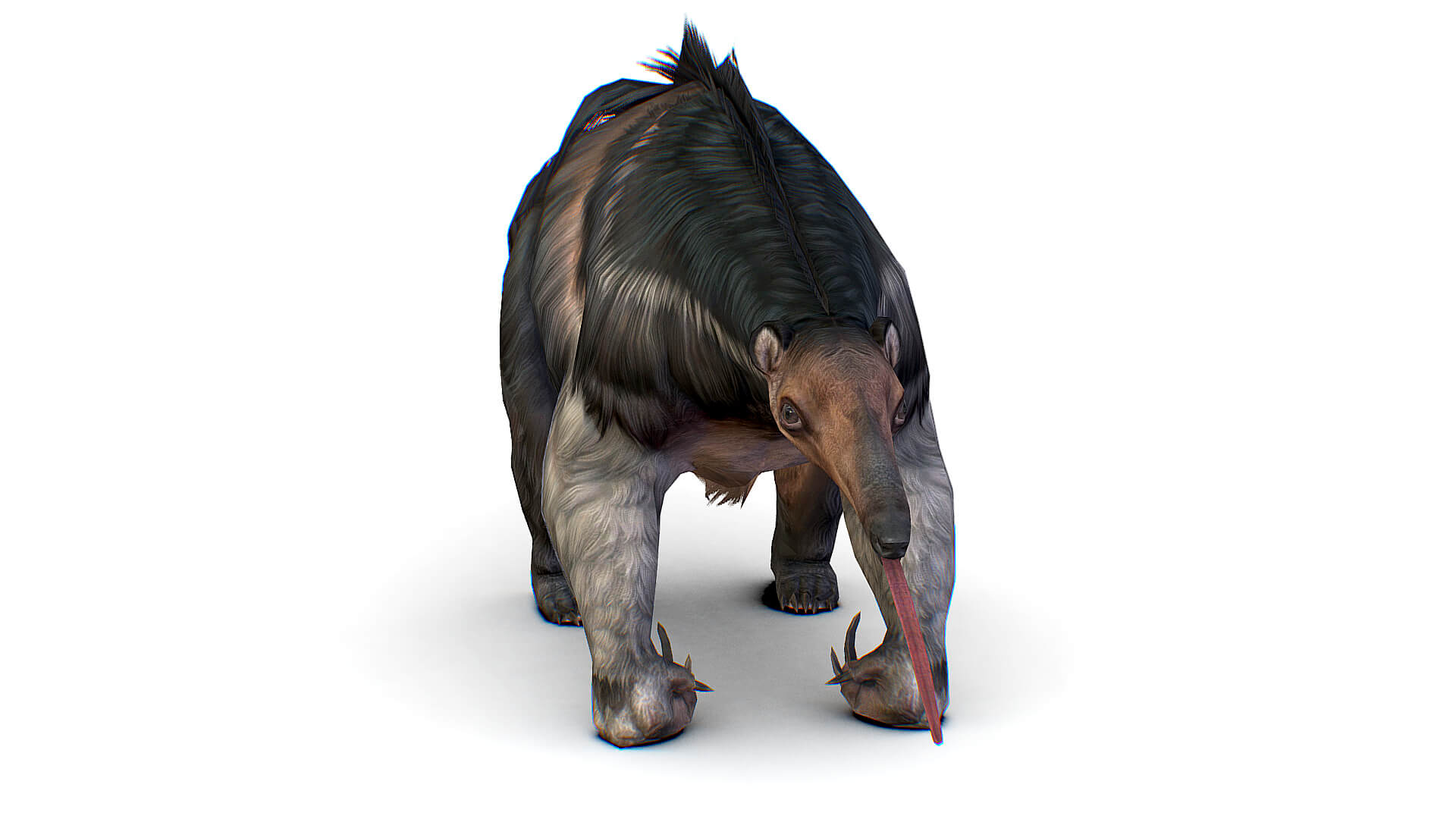Anteater Giant Animal Wild Mammal Myrmecophagidae - 3D Model by LiveBook3D