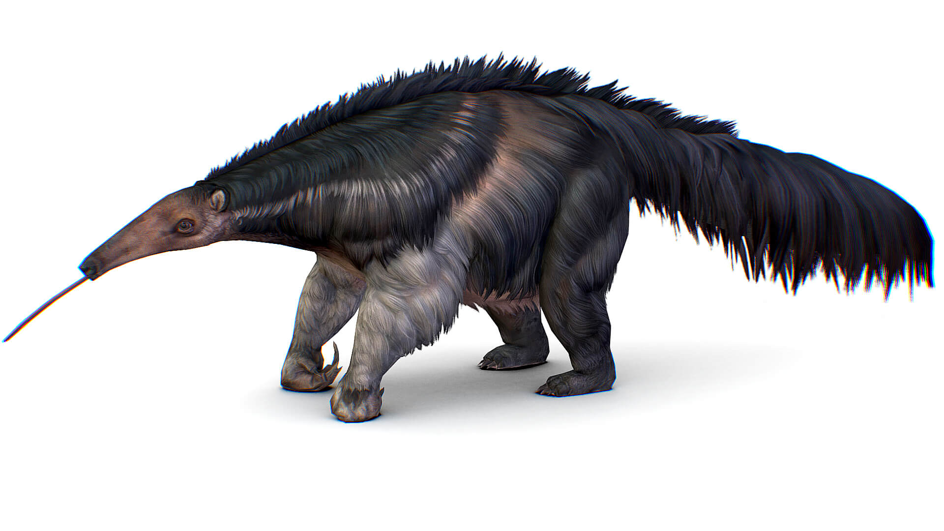 Anteater Giant Animal Wild Mammal Myrmecophagidae - 3D Model by LiveBook3D