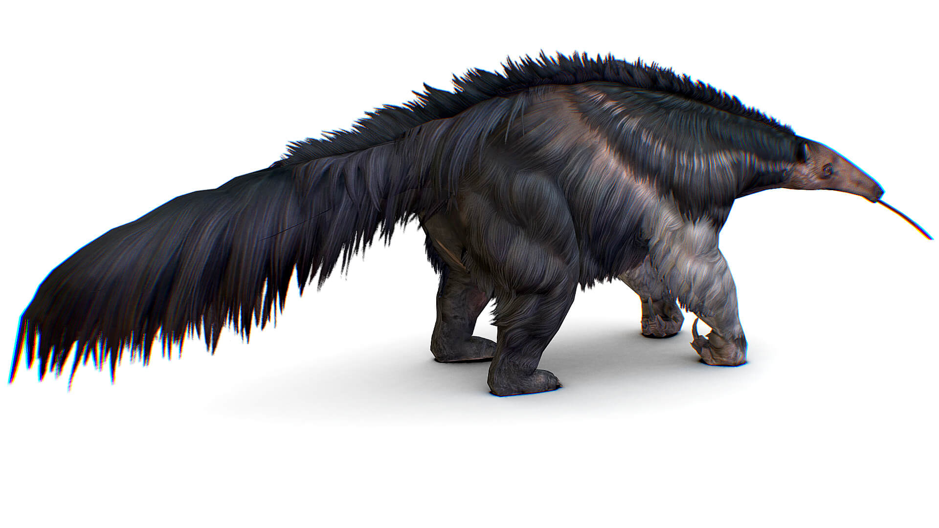 Anteater Giant Animal Wild Mammal Myrmecophagidae - 3D Model by LiveBook3D