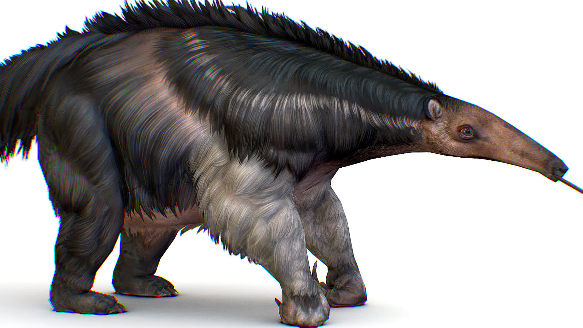 Anteater Giant Animal Wild Mammal Myrmecophagidae - 3D Model by LiveBook3D