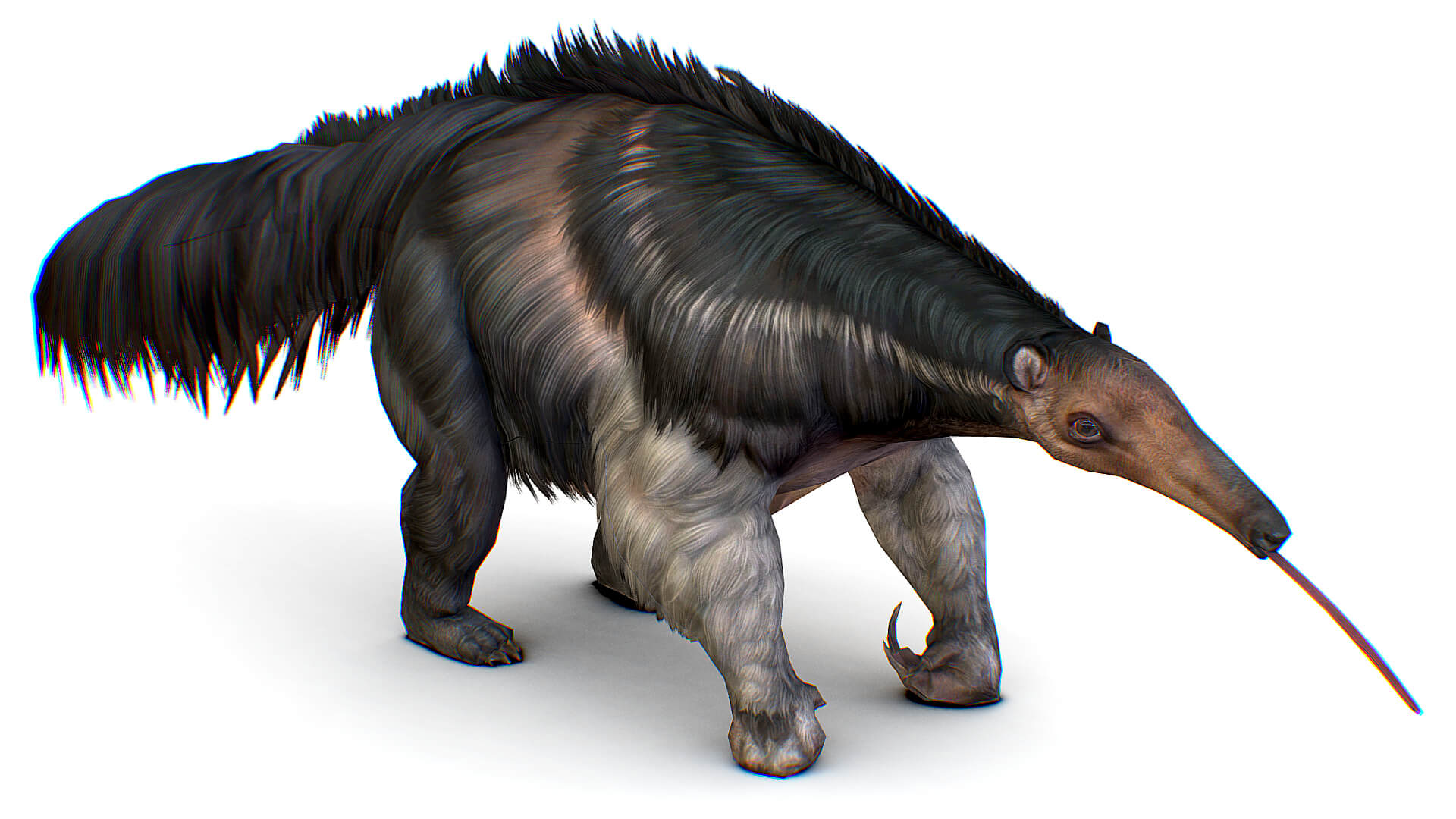 Anteater Giant Animal Wild Mammal Myrmecophagidae - 3D Model by LiveBook3D