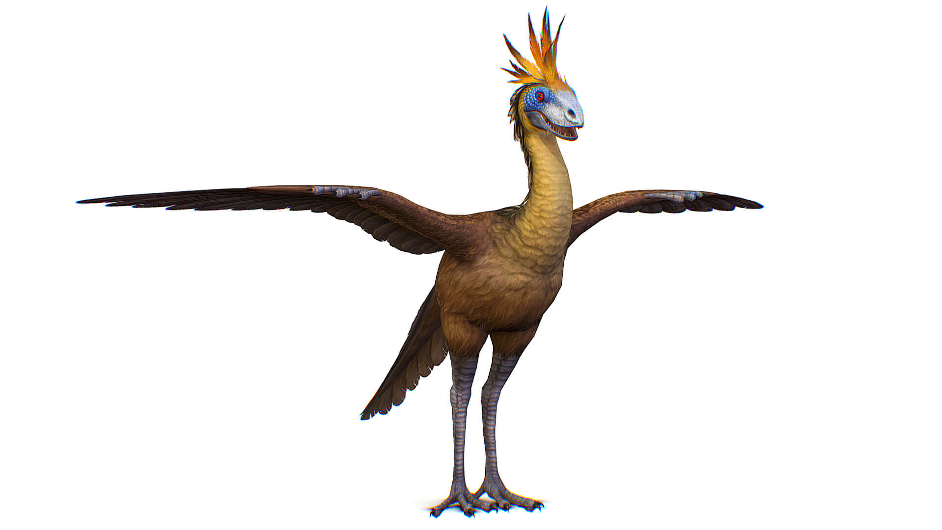Archaeopteryx Archae Bird Dinosaur Urvogel Creature - 3D Model by ...