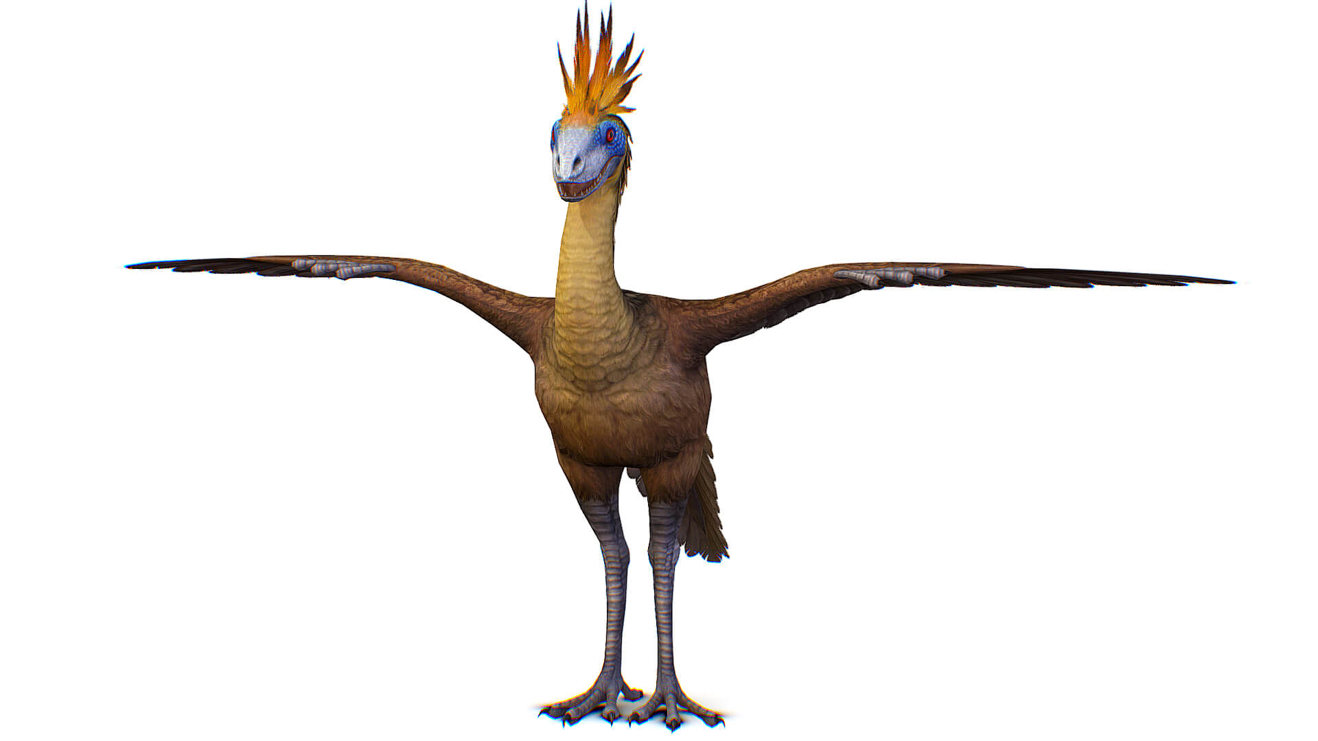 Archaeopteryx Archae Bird Dinosaur Urvogel Creature - 3D Model by ...