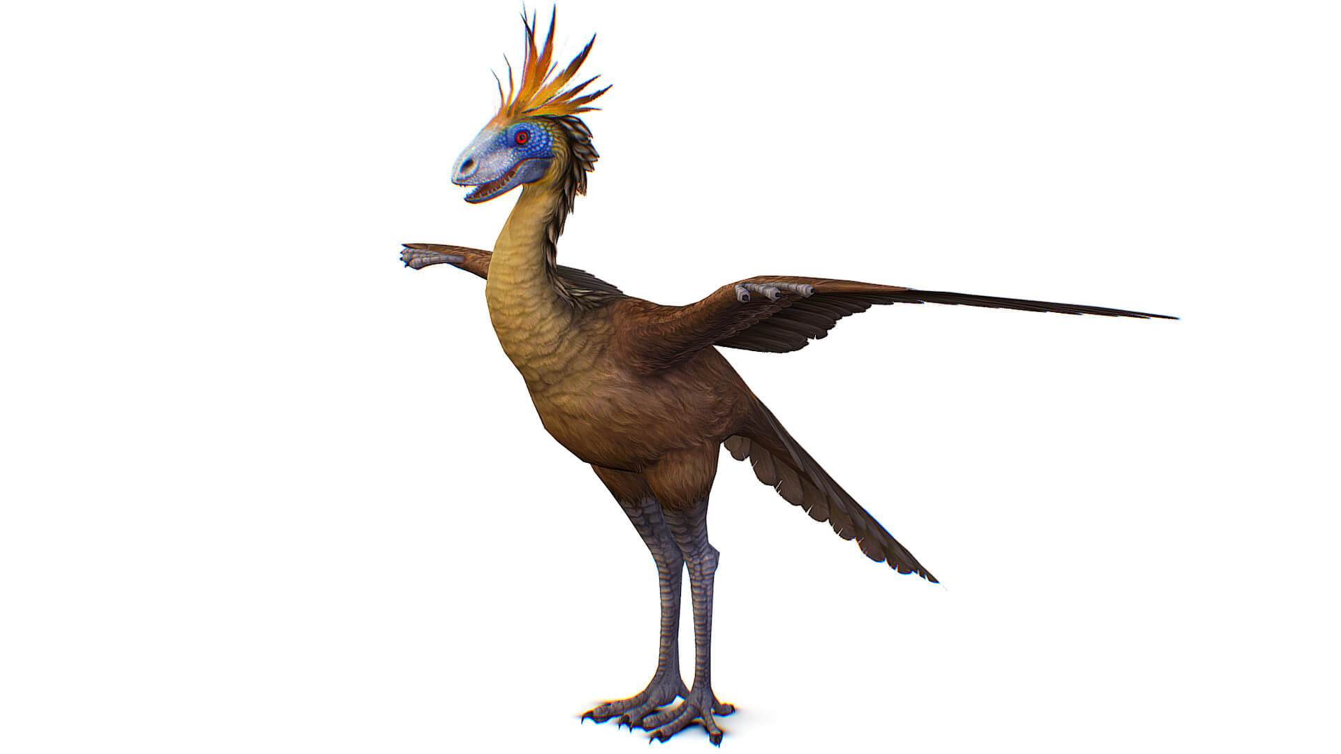Archaeopteryx Archae Bird Dinosaur Urvogel Creature - 3D Model by ...