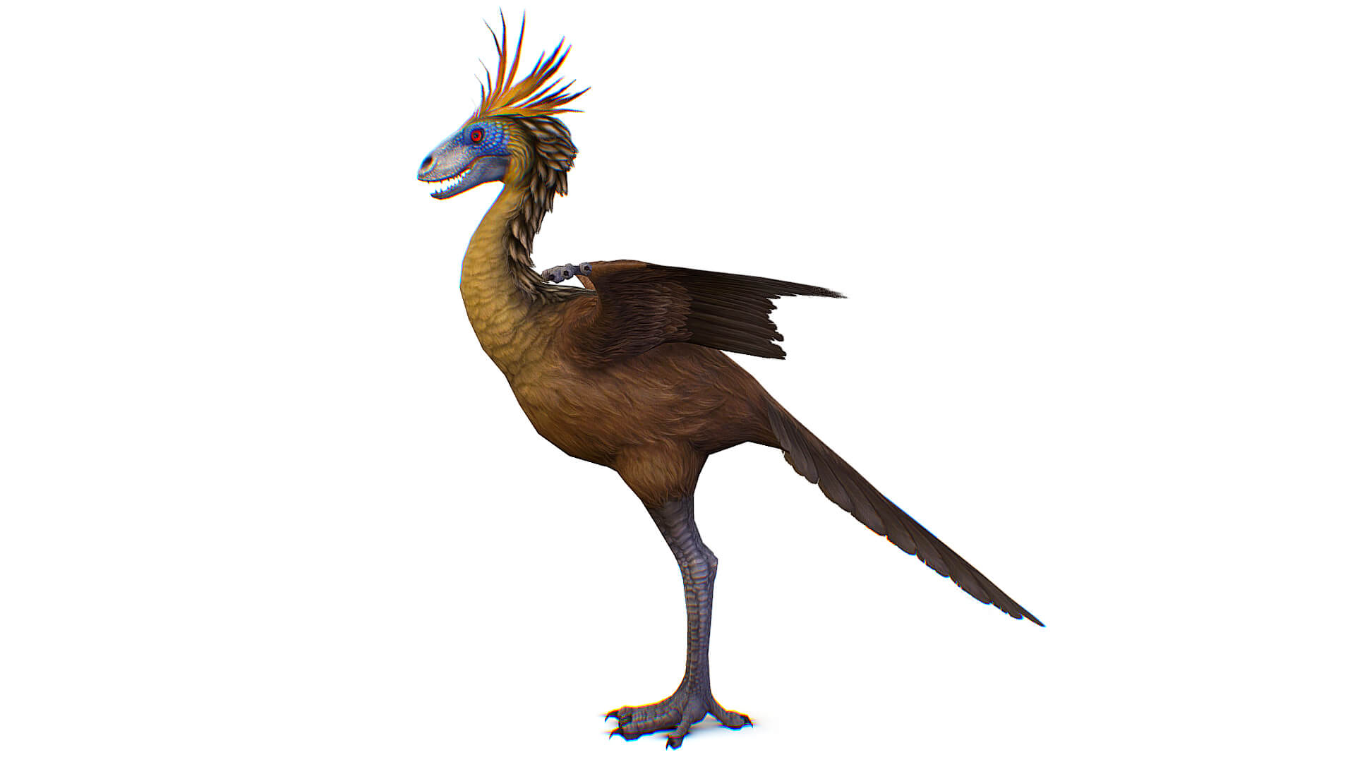 Archaeopteryx Archae Bird Dinosaur Urvogel Creature - 3D Model by ...