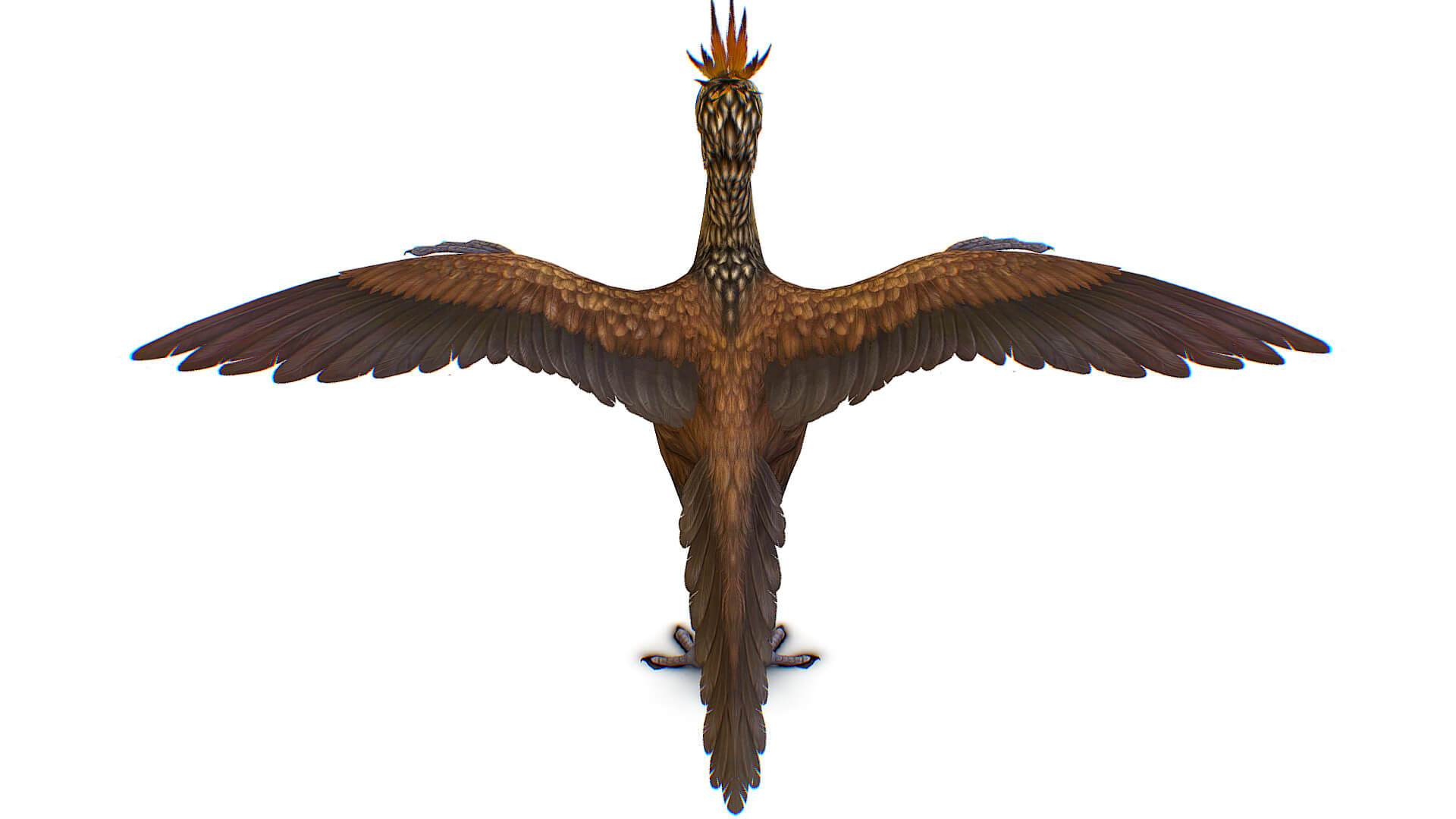 Archaeopteryx Archae Bird Dinosaur Urvogel Creature - 3D Model by ...