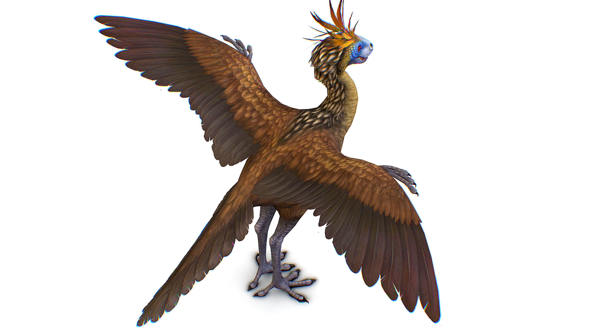 Archaeopteryx Archae Bird Dinosaur Urvogel Creature - 3D Model by ...