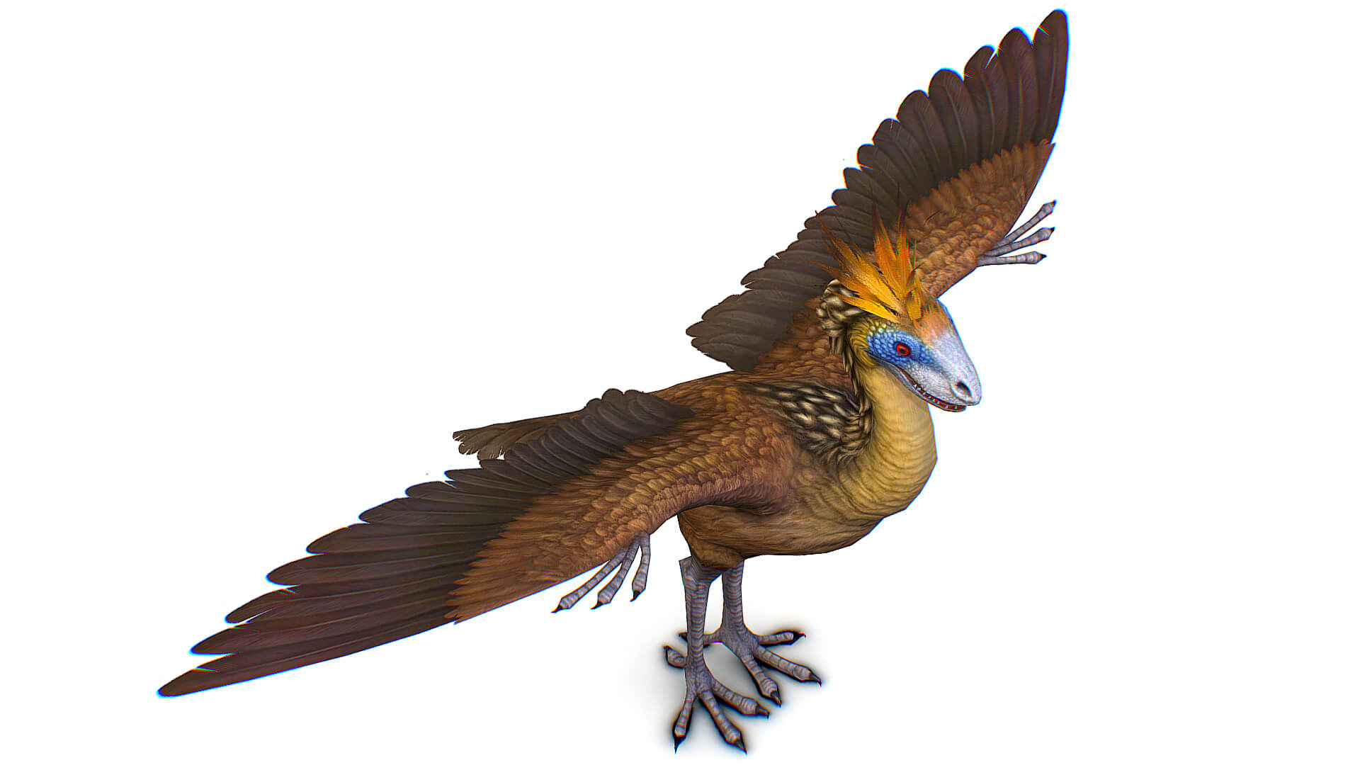 Archaeopteryx Archae Bird Dinosaur Urvogel Creature - 3D Model by ...