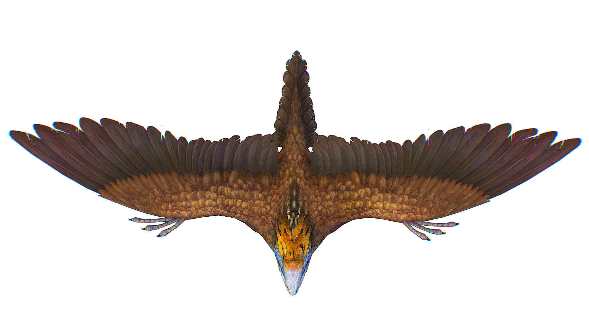 Archaeopteryx Archae Bird Dinosaur Urvogel Creature - 3D Model by ...