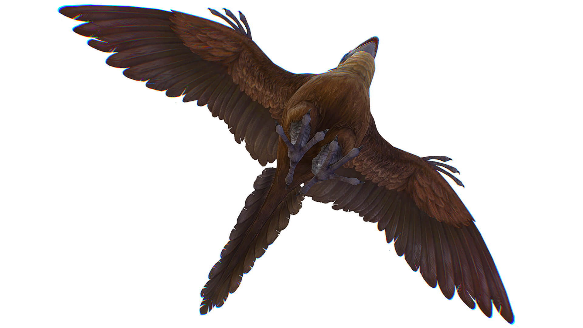Archaeopteryx Archae Bird Dinosaur Urvogel Creature - 3D Model by ...