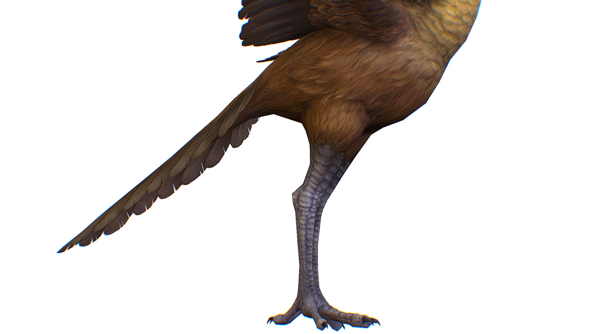 Archaeopteryx Archae Bird Dinosaur Urvogel Creature - 3D Model by ...