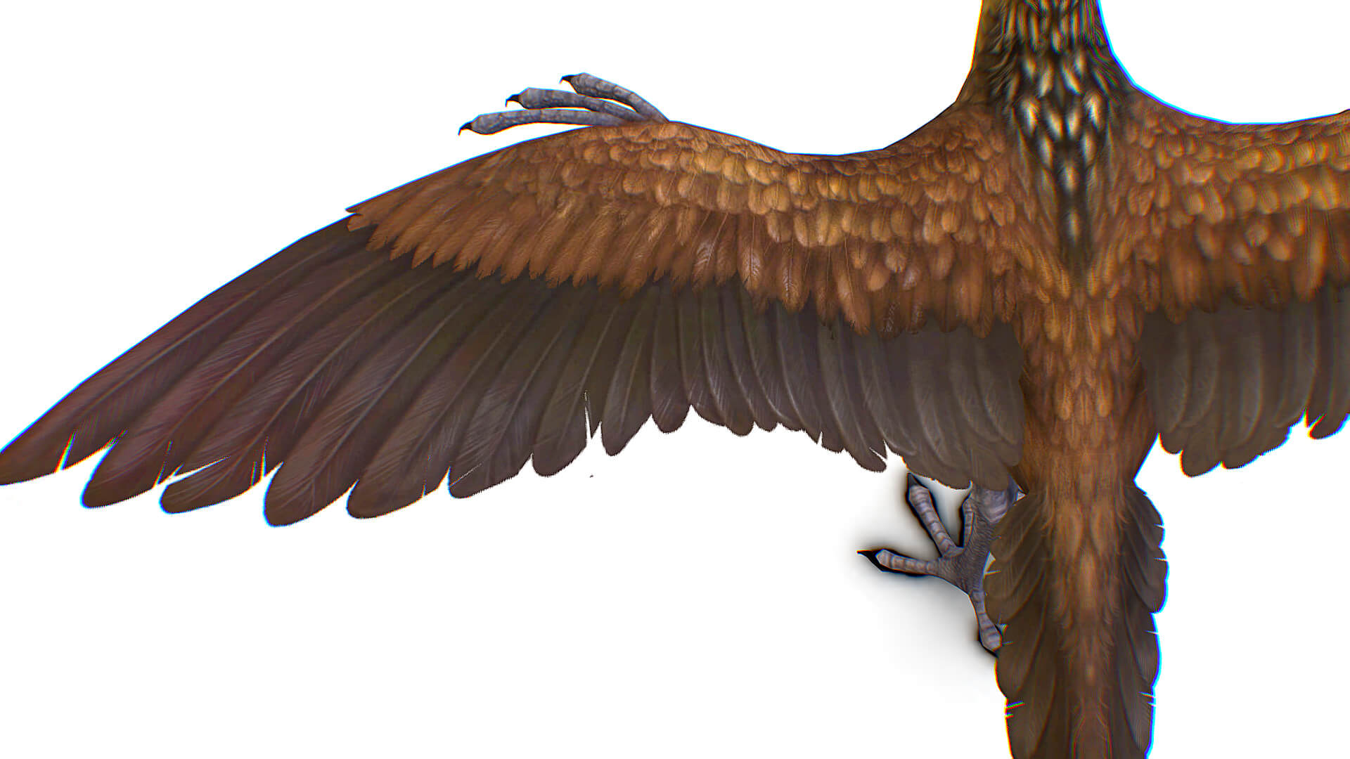 Archaeopteryx Archae Bird Dinosaur Urvogel Creature - 3D Model by ...