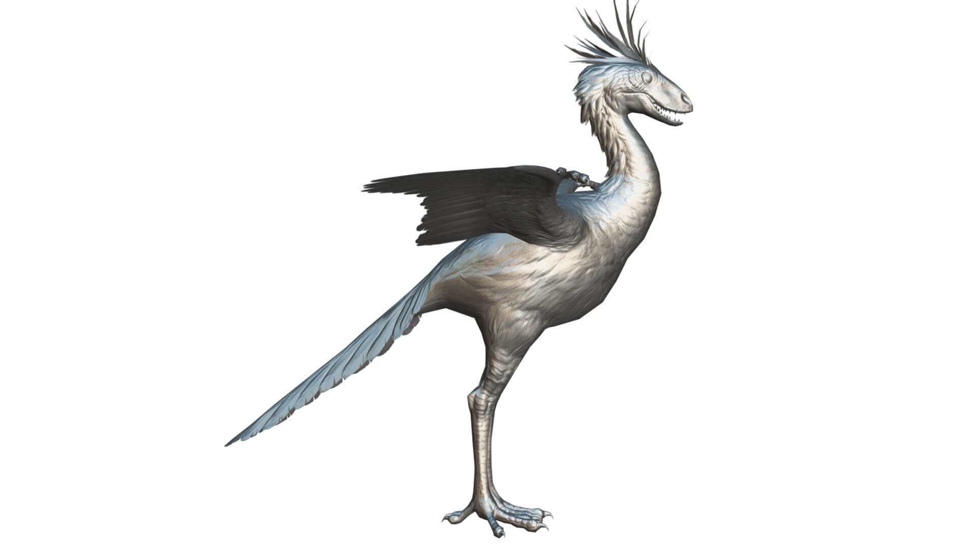 Archaeopteryx Archae Bird Dinosaur Urvogel Creature - 3D Model by ...