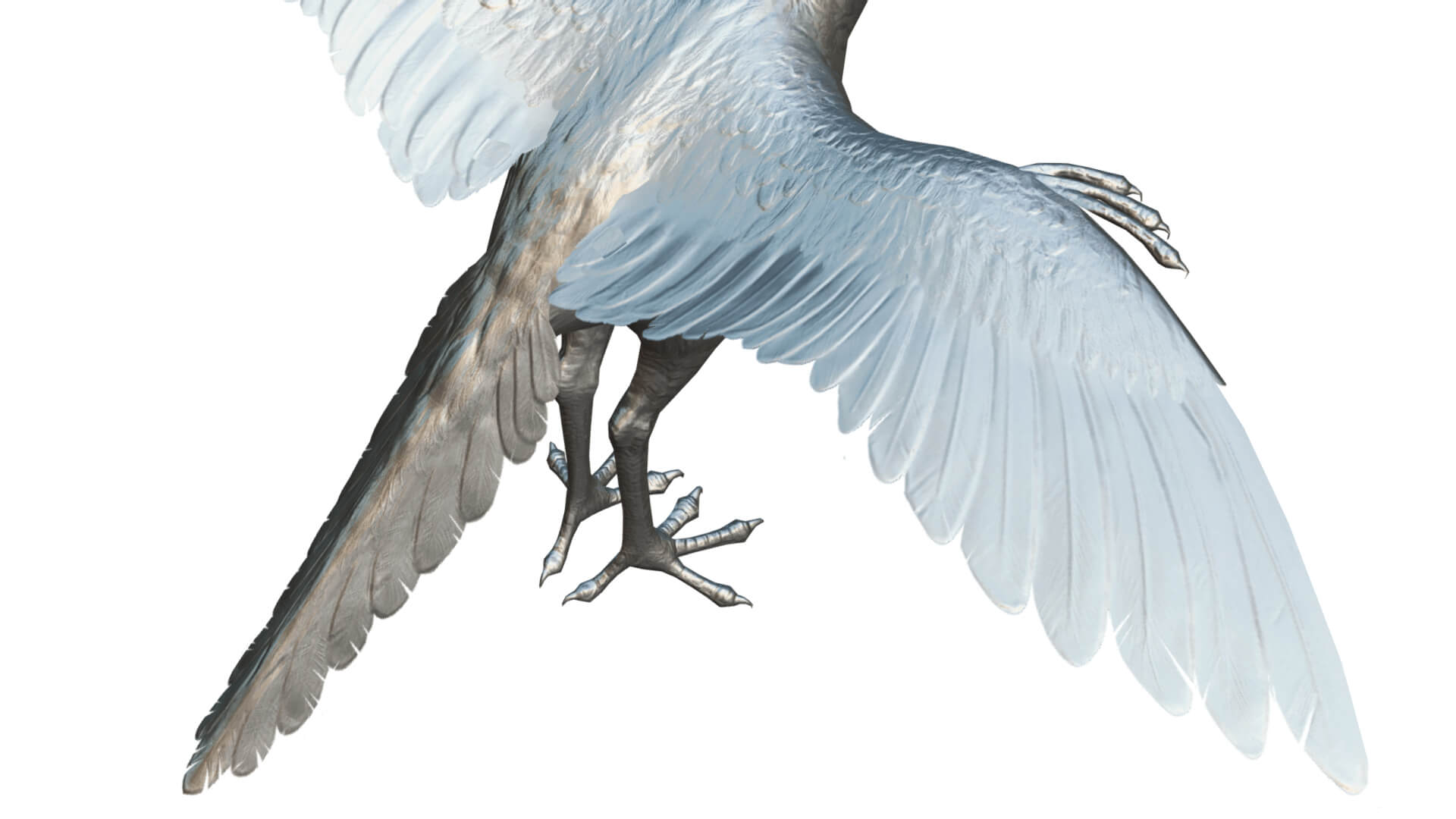 Archaeopteryx Archae Bird Dinosaur Urvogel Creature - 3D Model by ...