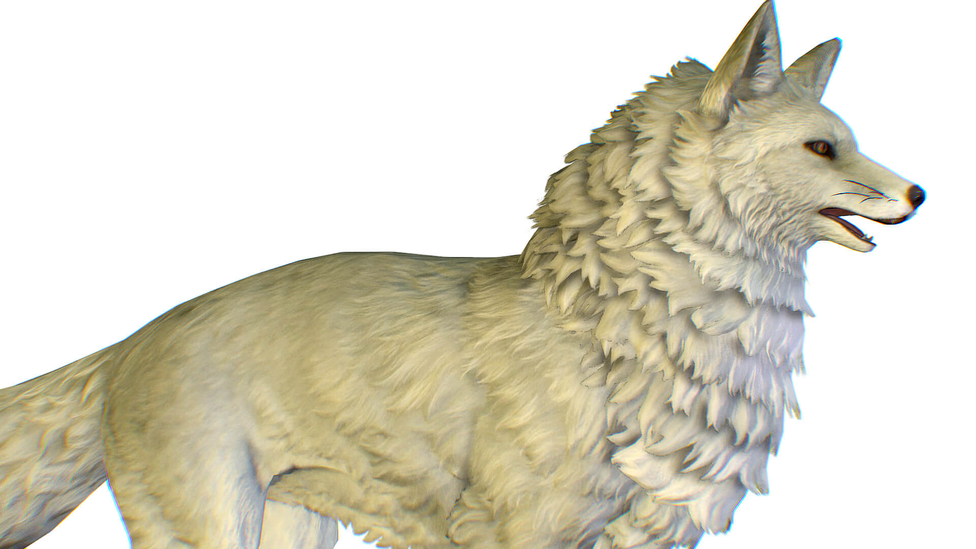 Arctic Fox White Vulpes Wild Corsac Animal Mammal Cape - 3D Model by LiveBook3D