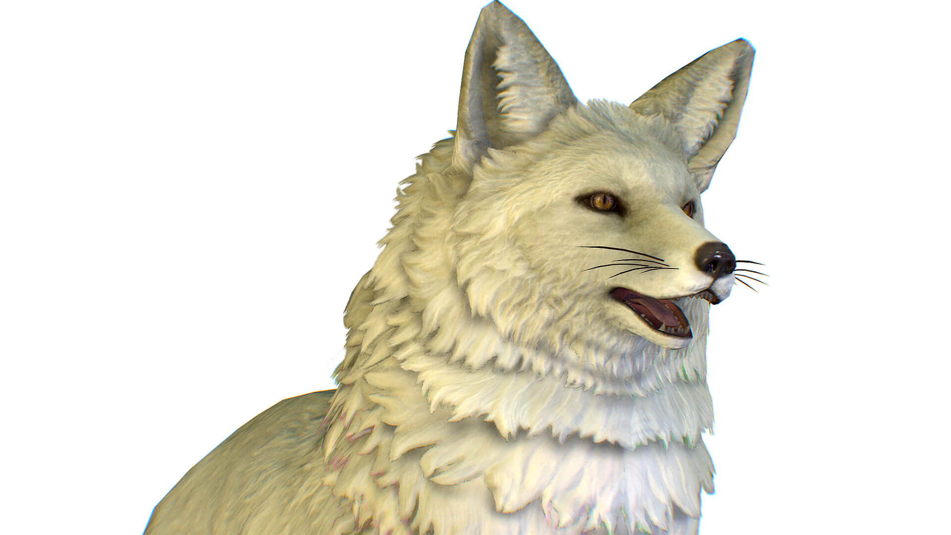 Arctic Fox White Vulpes Wild Corsac Animal Mammal Cape - 3D Model by LiveBook3D