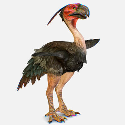 AxeBeak Axe Beak Bird Dinosaur Mutant Mount Animal - 3D Model by LiveBook3D