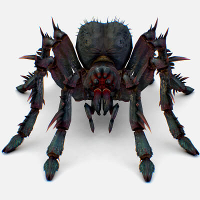 Black Fantasy Spider Monster Creature Giant Arachnid - 3D Model by ...