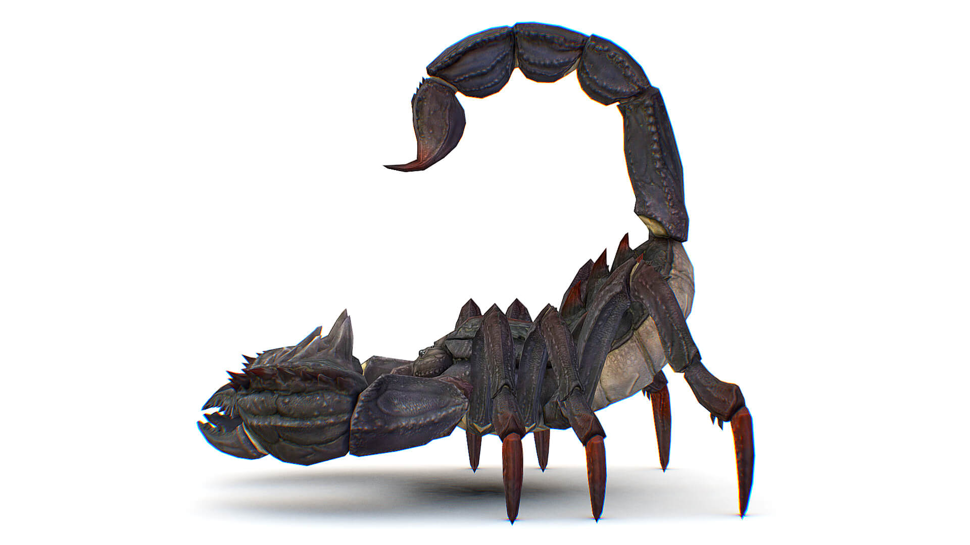 Black Giant Black Scorpion Pandinus Dictator Arthropod - 3D Model by ...