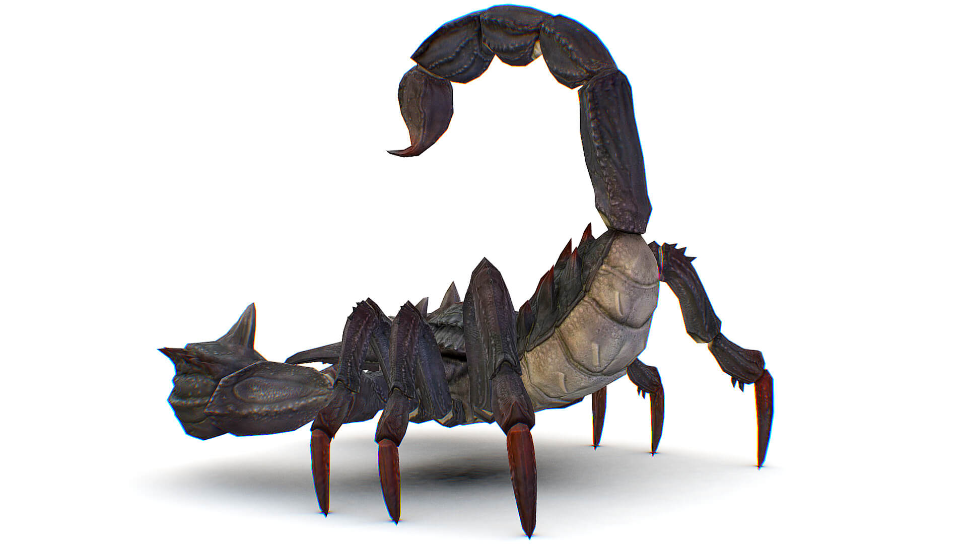 Black Giant Black Scorpion Pandinus Dictator Arthropod - 3D Model by ...
