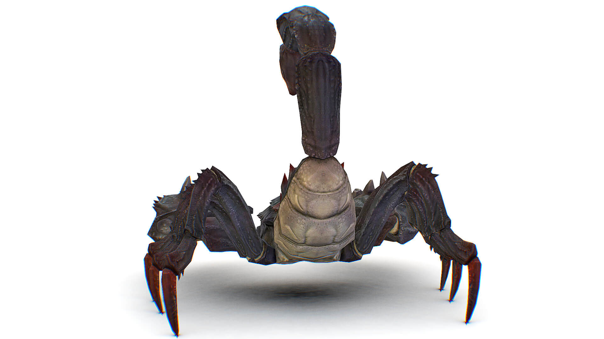 Black Giant Black Scorpion Pandinus Dictator Arthropod - 3D Model by ...