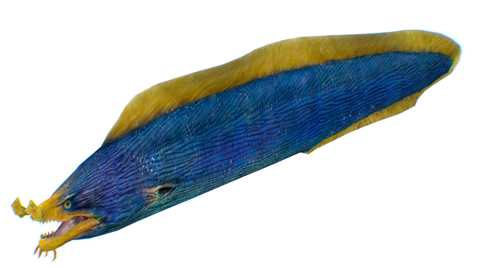 Blue Moray Muraena Helena Mediterranean Sea Animal Eel - 3D Model by ...