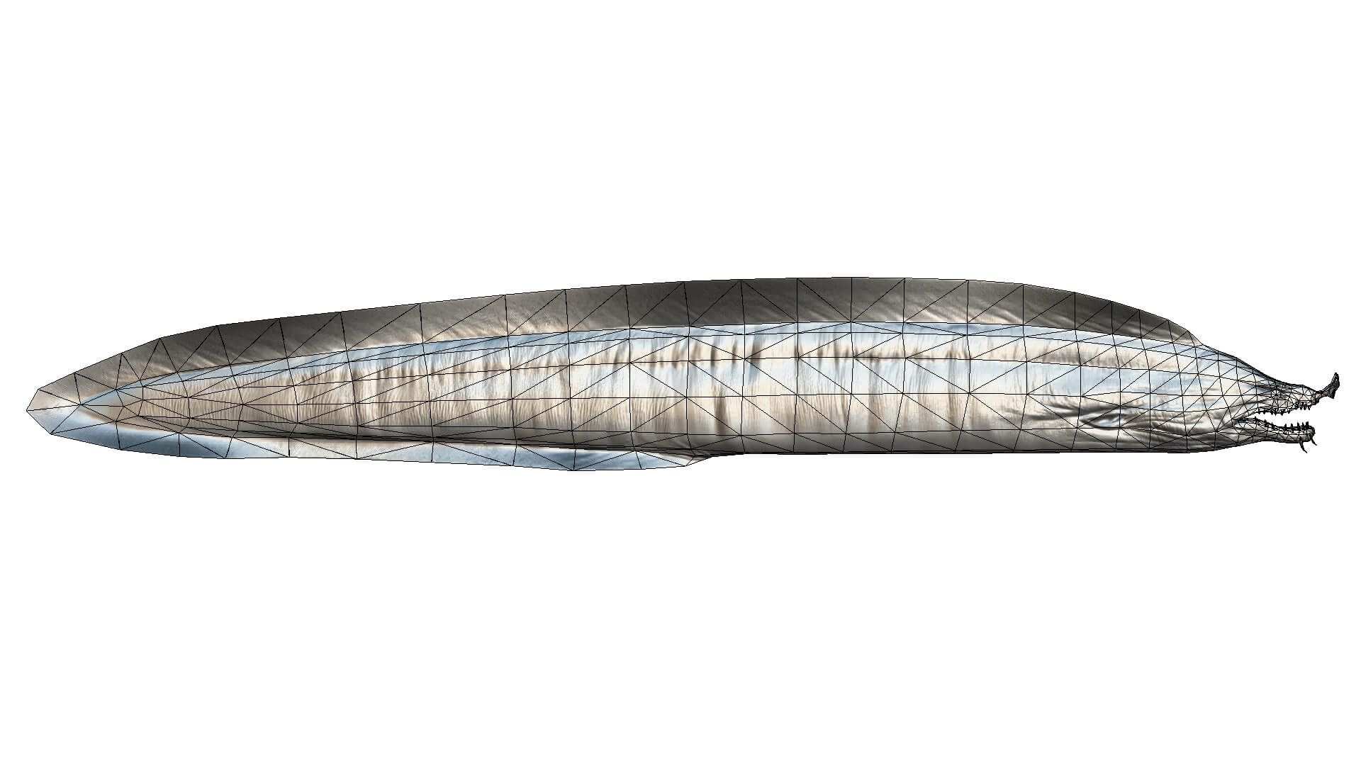 Blue Moray Muraena Helena Mediterranean Sea Animal Eel - 3D Model by ...