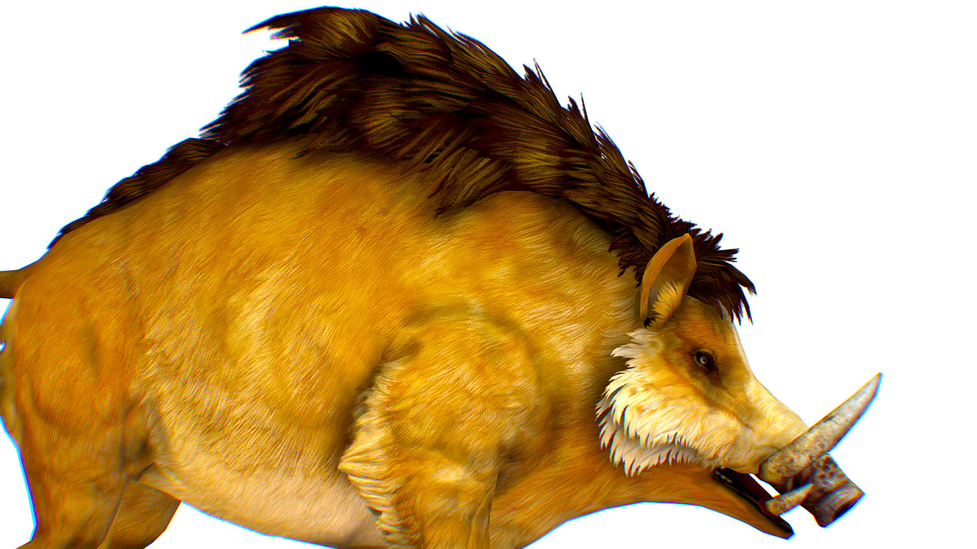 Boar Wild Pig Yellow Animal Bushpig Mammal - 3D Model by LiveBook3D