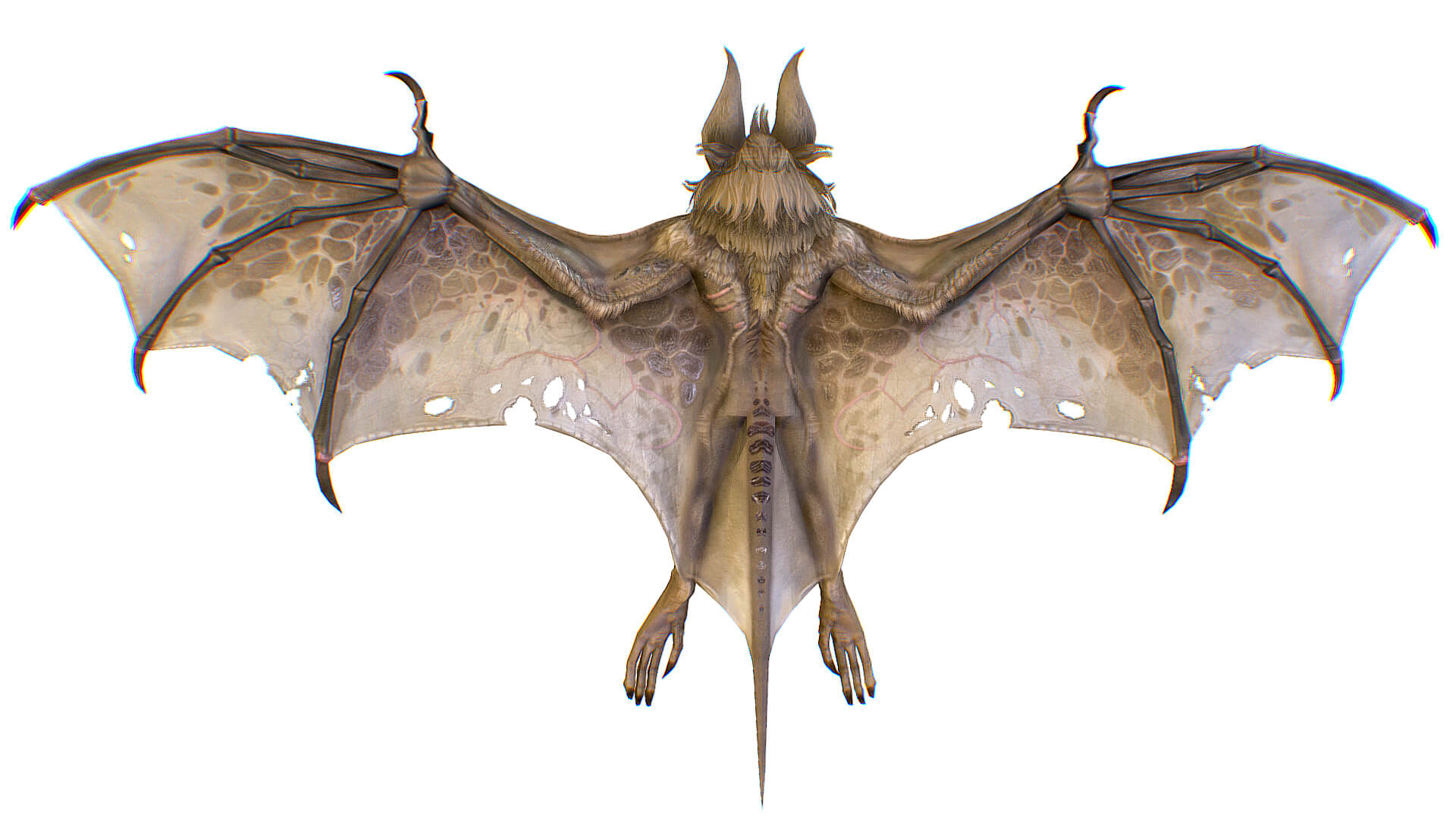 Brown Bat Vampire Mouse Monster - 3D Model by LiveBook3D