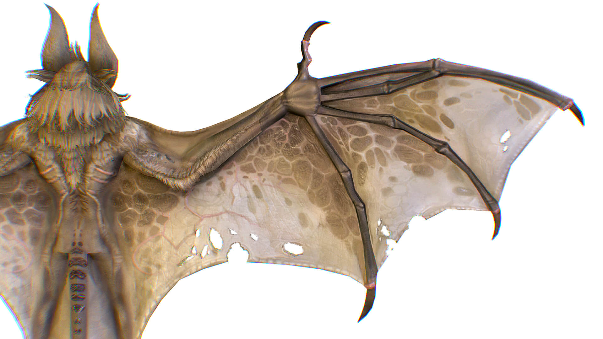 Brown Bat Vampire Mouse Monster - 3D Model by LiveBook3D